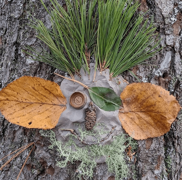 Tree Spirits - Sprouting Knowledge