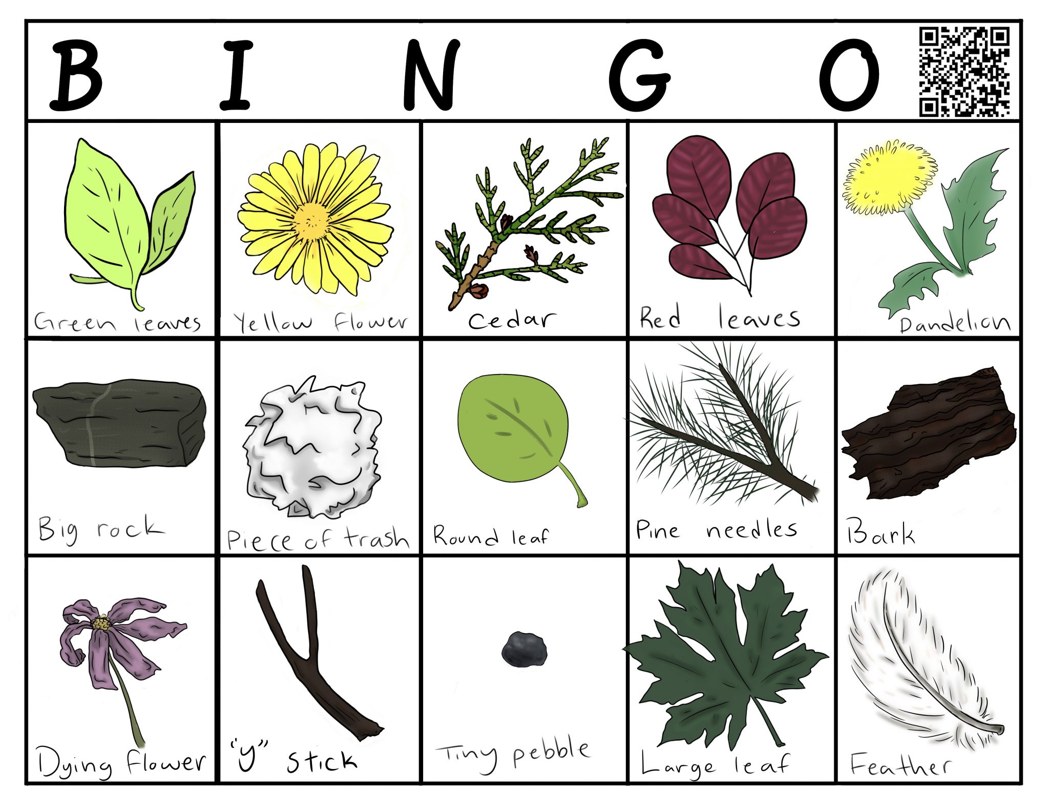 Nature Bingo - Sprouting Knowledge