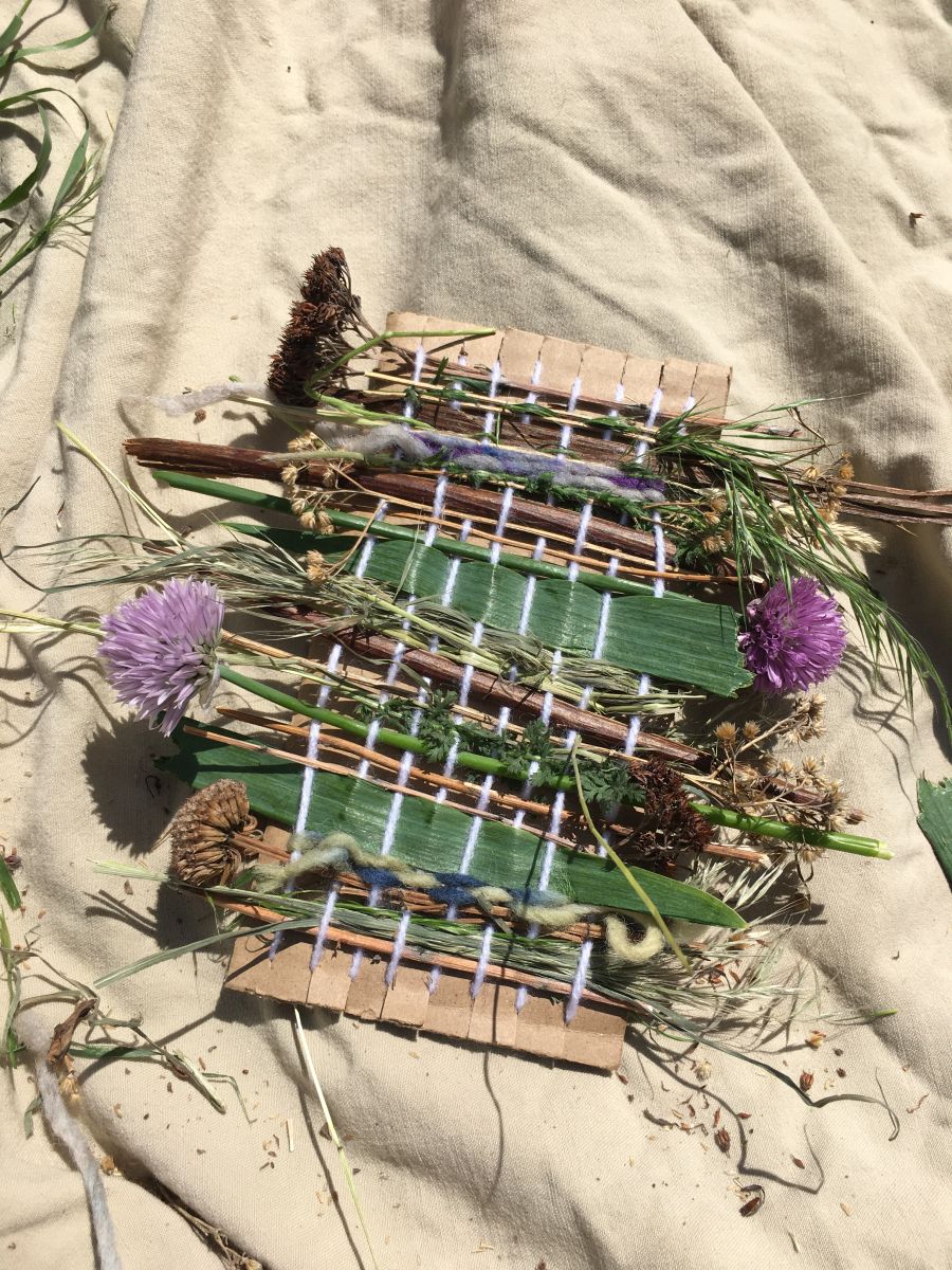 Cardboard Nature Weaving - Sprouting Knowledge
